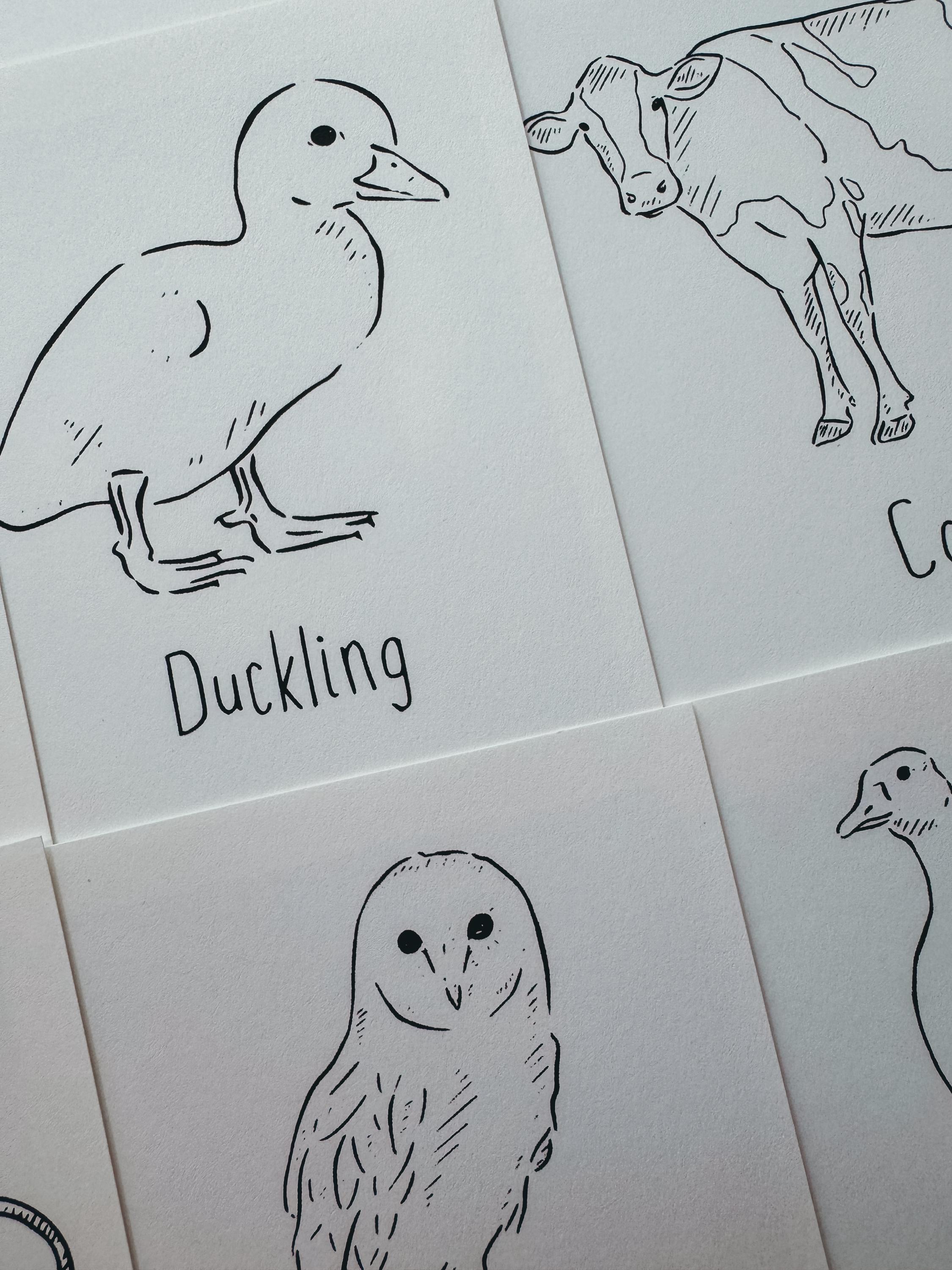 Color Your Own Farm Animal Flashcards, Homeschool, Learning Resource ...