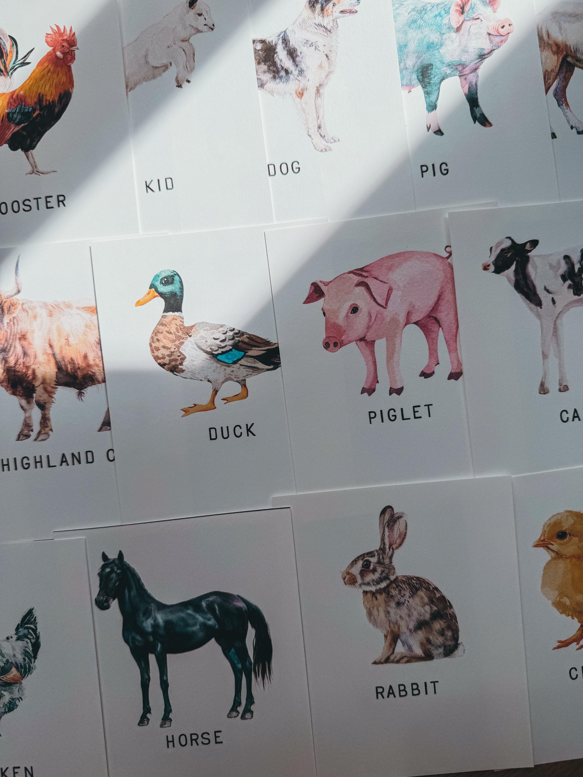 Farm Animal Flashcards, Homeschool, Learning Resource, Printable ...