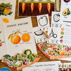 Fruit and Vegetables Unit Study, MEGA 220+ Pages, Morning Basket ...