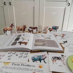 Farm Animals Unit Study, MEGA 191 Page PDF, Morning Basket, Homeschool ...