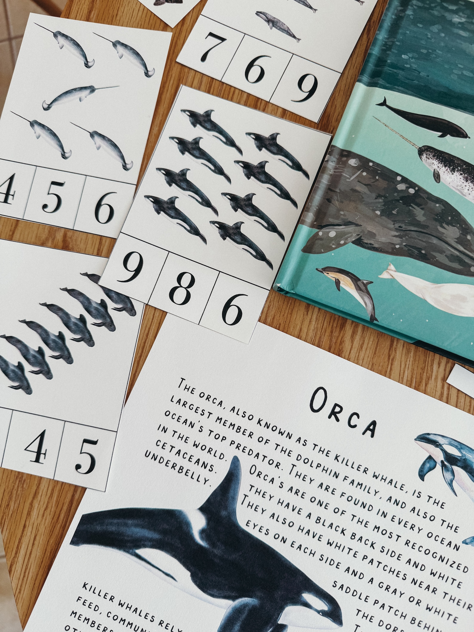 Whales Unit Study, Homeschool, Learning Resource, Printable, Nature ...