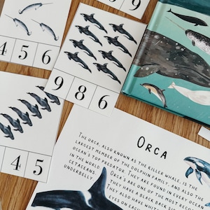 Whales Unit Study, Homeschool, Learning Resource, Printable, Nature ...