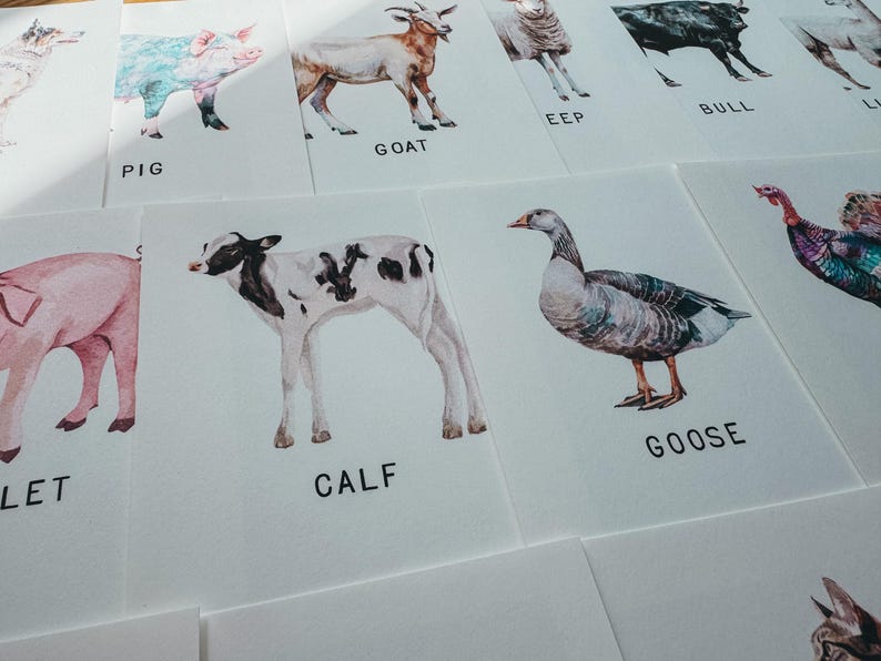Farm Animal Flashcards, Homeschool, Learning Resource, Printable ...