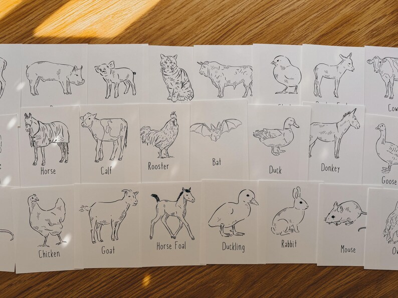Color Your Own Farm Animal Flashcards, Homeschool, Learning Resource ...