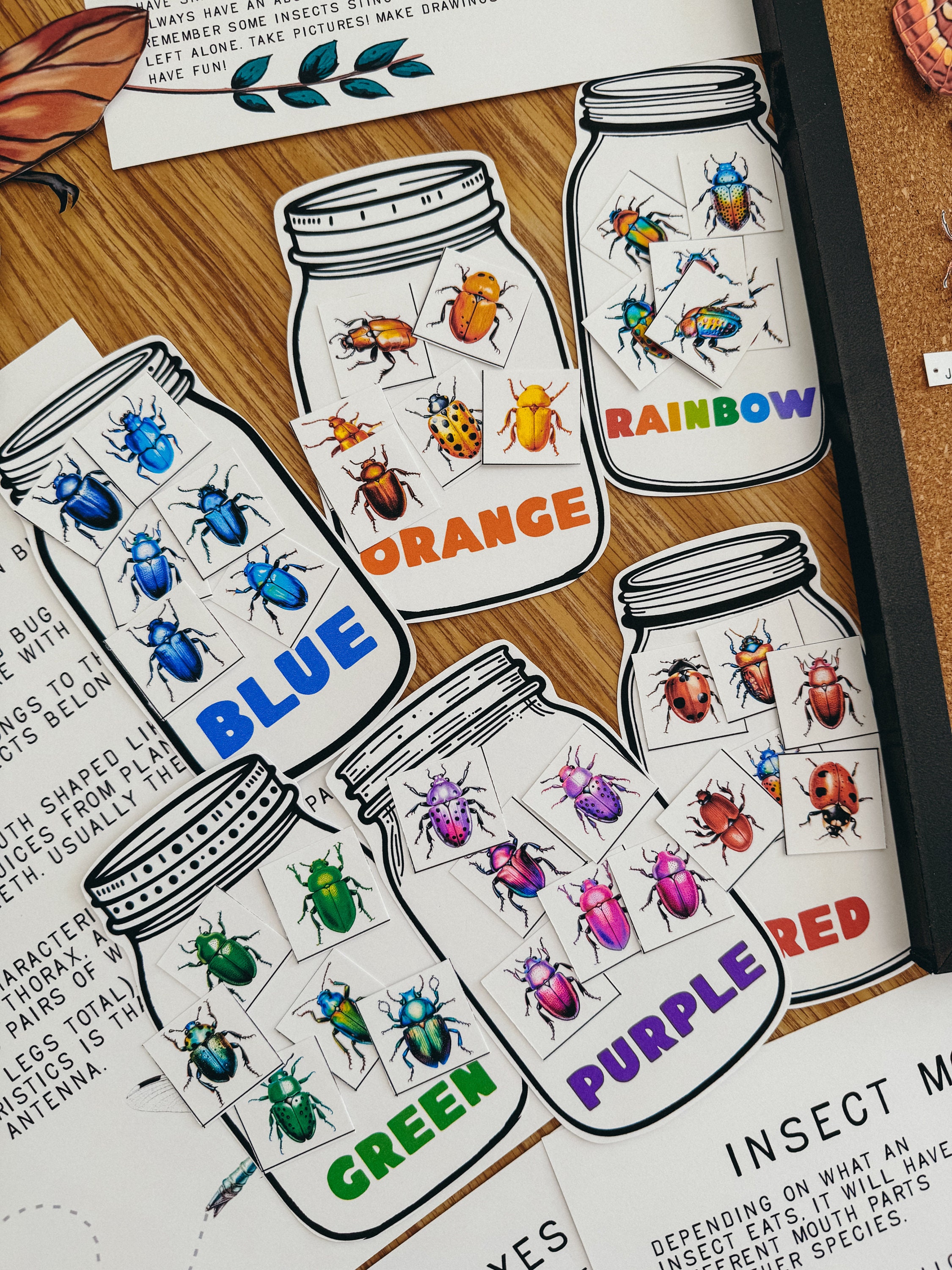 Bugs and Insects Unit Study, Homeschool, Learning Resource, Printable ...