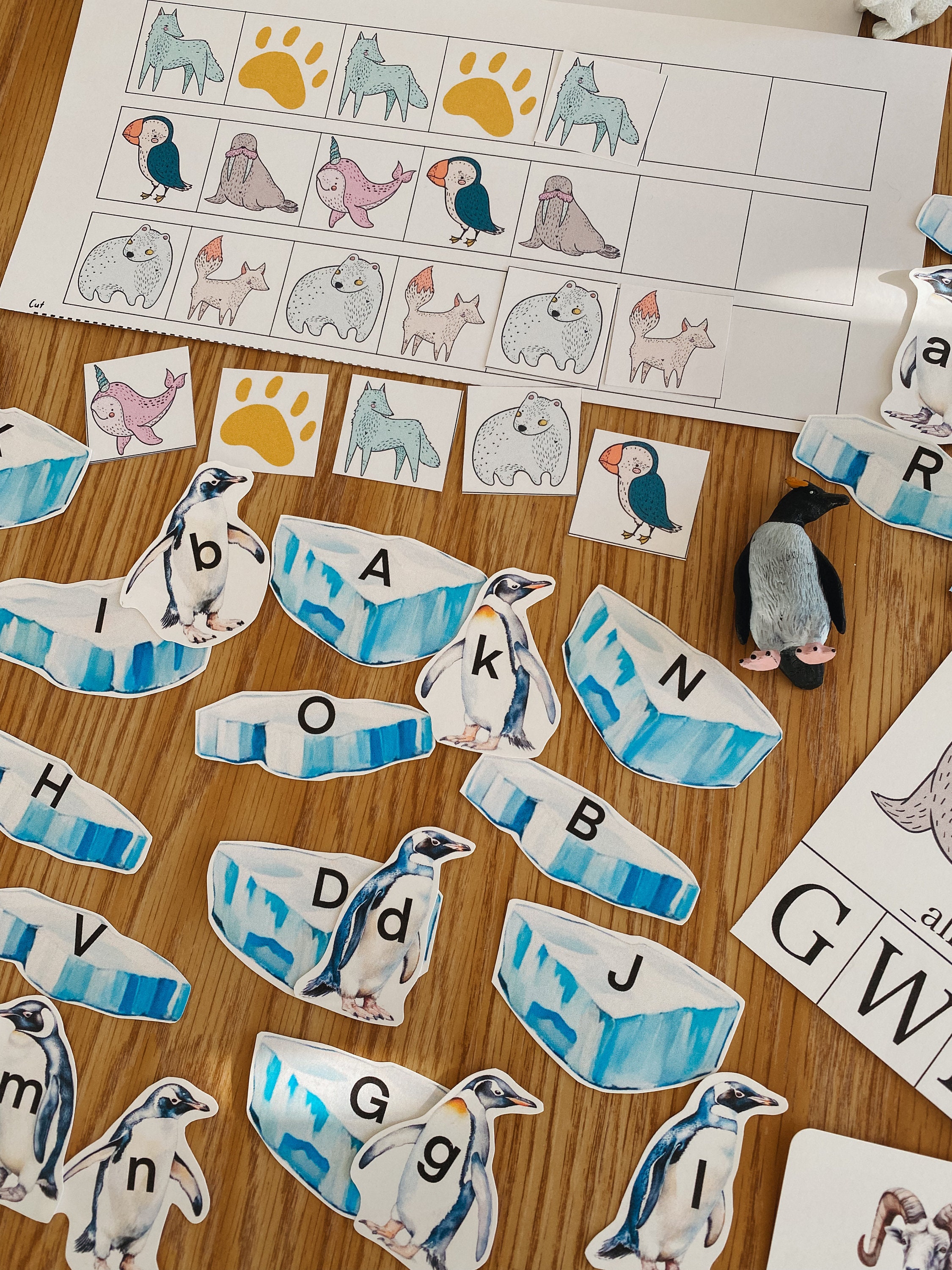 Polar Unit Study, 74 Page PDF, the Arctic and Antarctic, Homeschool ...