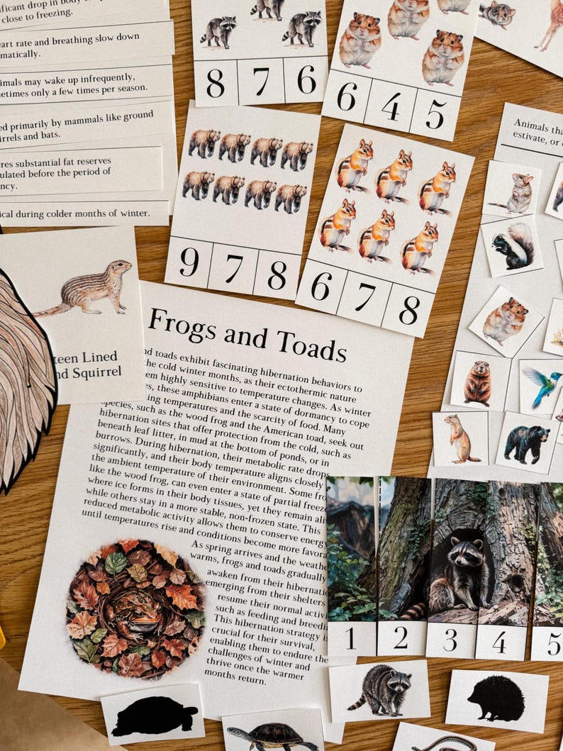 Hibernation/winter Sleep Unit Study, 107 Page PDF, Morning Basket ...