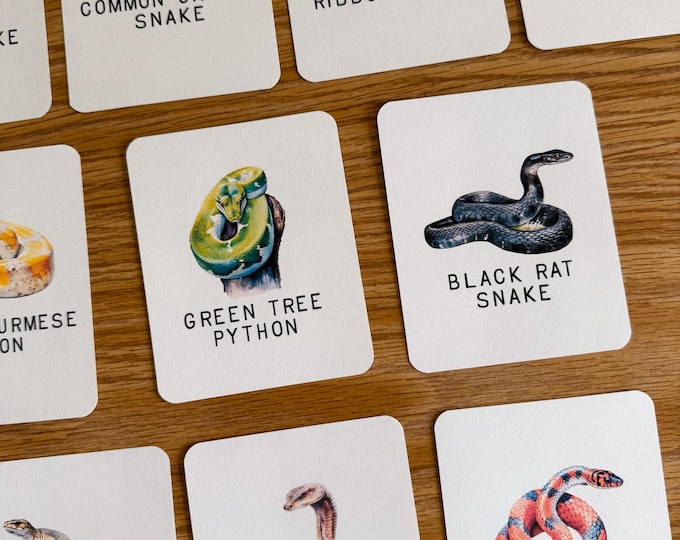 Parts of a Snake Nomenclature Book - Montessori Zoology - Printable ...