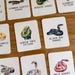 Snake Species Flashcards, Homeschool, Learning Resource, Printable ...