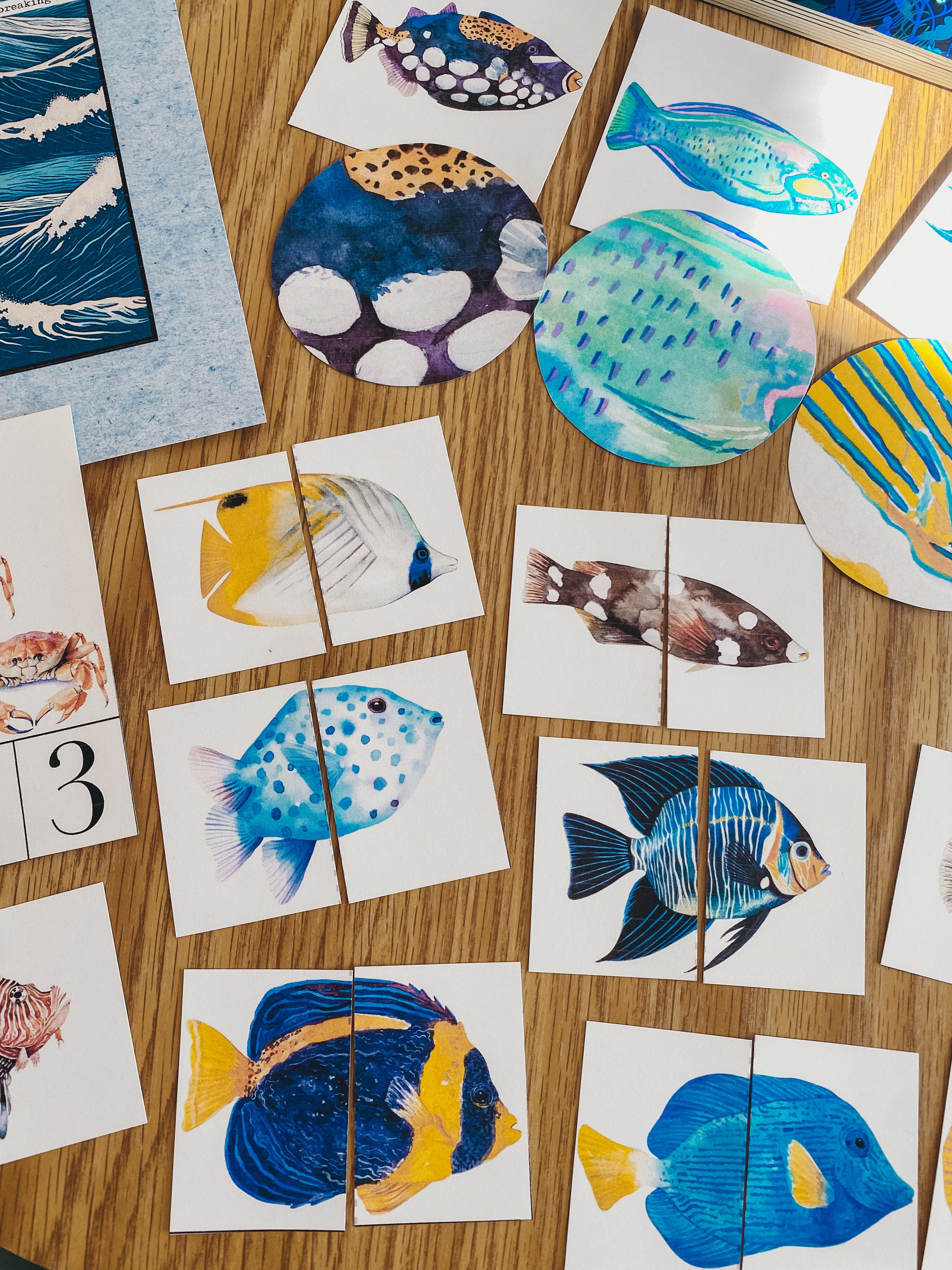 Ocean Unit Study, Homeschool, Learning Resource, Printable, Nature ...