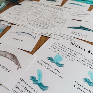 Whales Unit Study, Homeschool, Learning Resource, Printable, Nature ...