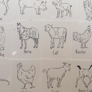 Color Your Own Farm Animal Flashcards, Homeschool, Learning Resource ...