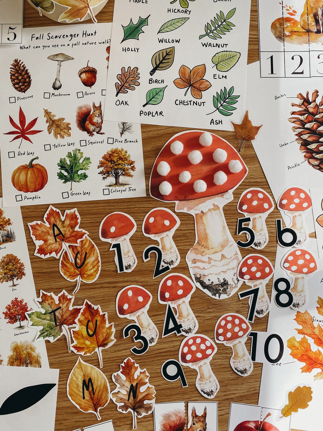 Autumn/fall Unit Study, 63 Page PDF, Morning Basket, Homeschool ...