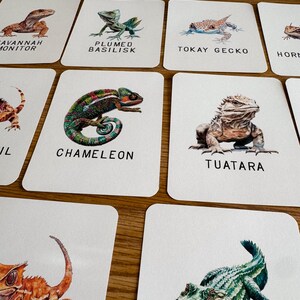 Reptile Species Flashcards, Homeschool, Learning Resource, Printable ...
