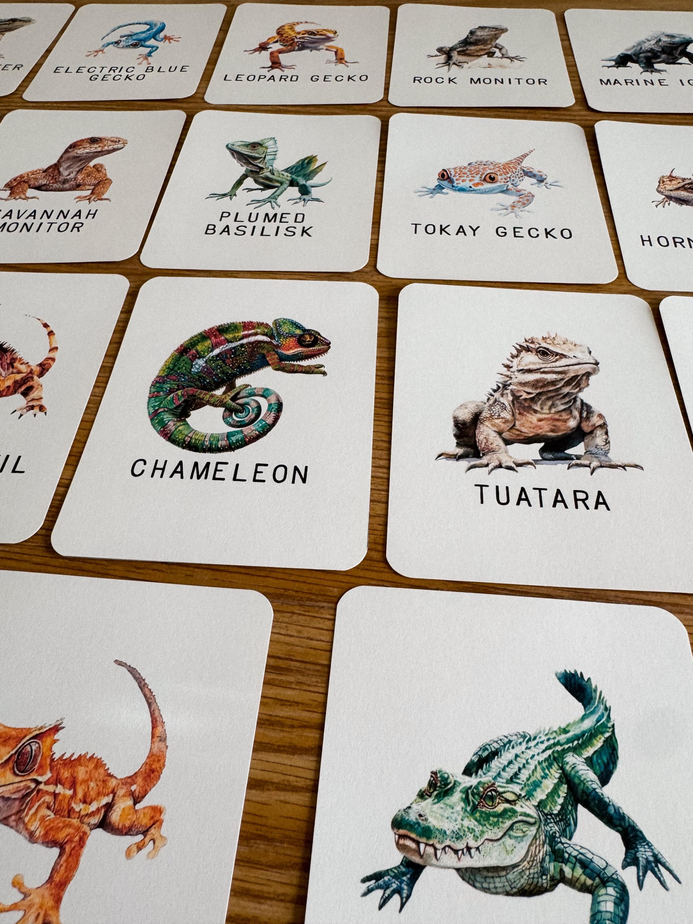 Reptile Species Flashcards, Homeschool, Learning Resource, Printable ...