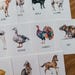 Farm Animal Flashcards, Homeschool, Learning Resource, Printable ...