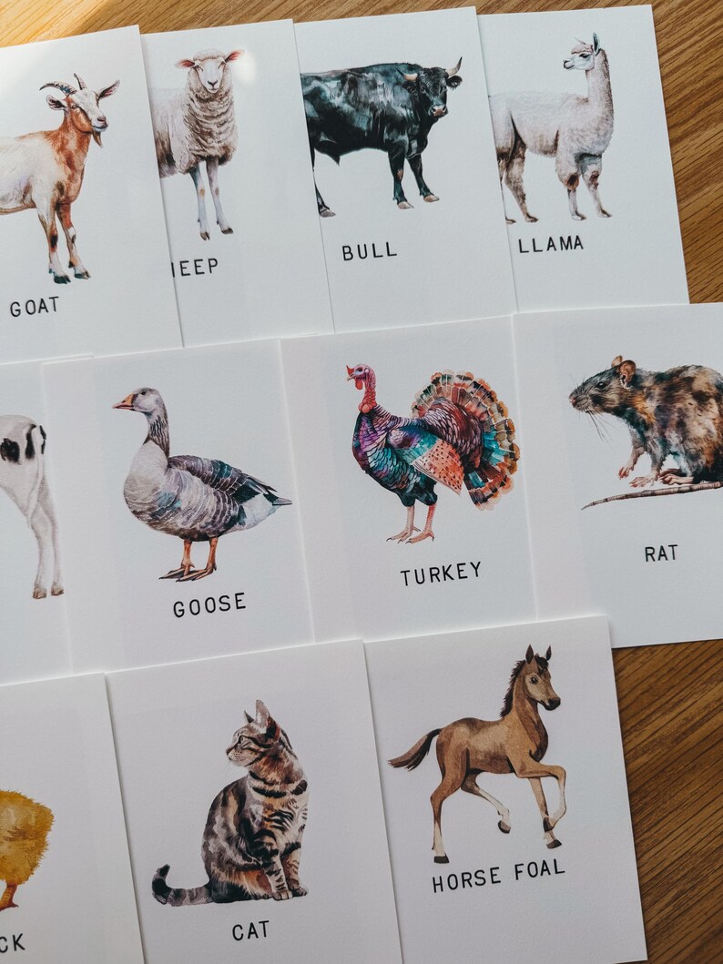 Farm Animal Flashcards, Homeschool, Learning Resource, Printable ...
