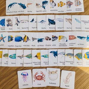 Ocean Animal Flashcards, Morning Basket, Homeschool, Learning Resource ...