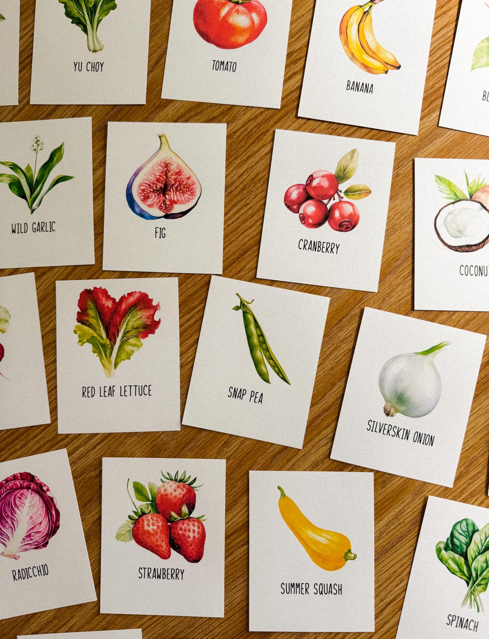 Fruit and Vegetable Flashcards, Homeschool, Learning Resource ...