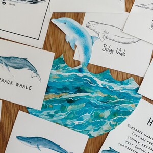 Whales Unit Study, Homeschool, Learning Resource, Printable, Nature ...