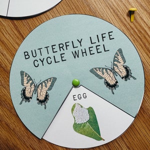 Butterfly & Moth Life Cycle Wheels, Learning Resource, Printable ...