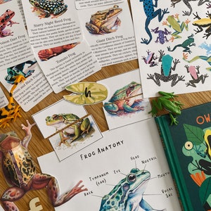 Frog Unit Study, 62 Page PDF, Amphibians, Homeschool, Learning Resource ...
