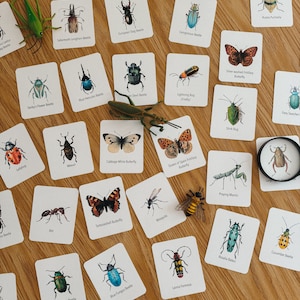 Bugs and Insects Unit Study, Homeschool, Learning Resource, Printable ...