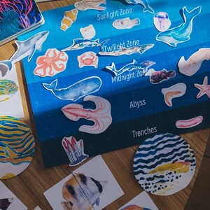 Ocean Unit Study, Homeschool, Learning Resource, Printable, Nature ...