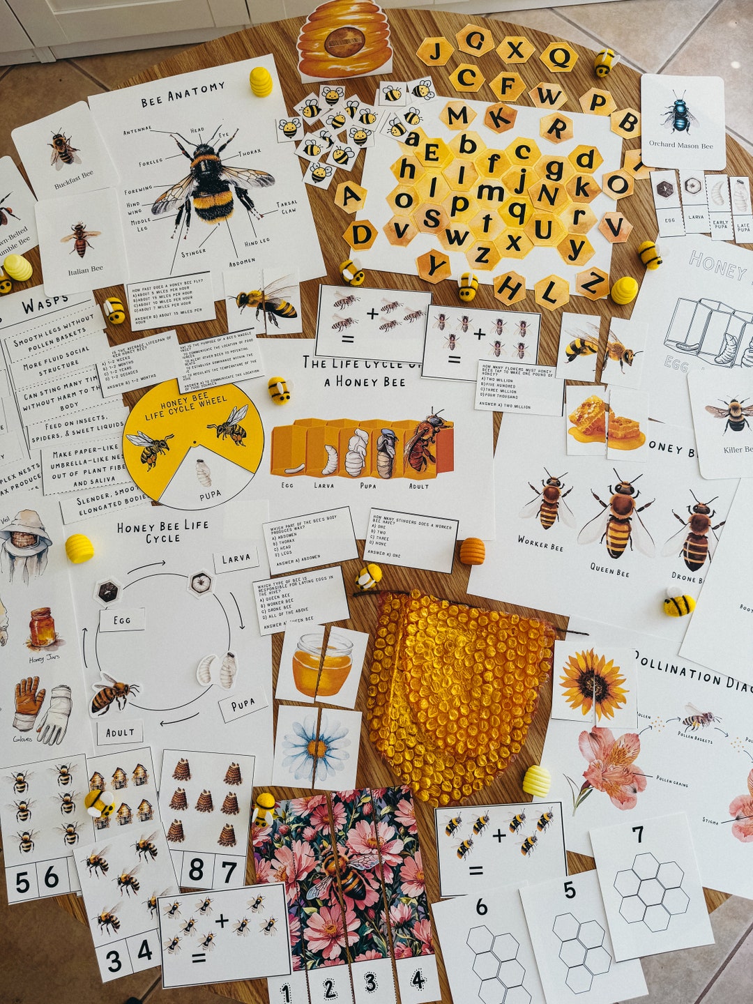 Bees Unit Study, Homeschool, Learning Resource, Printable, Nature ...