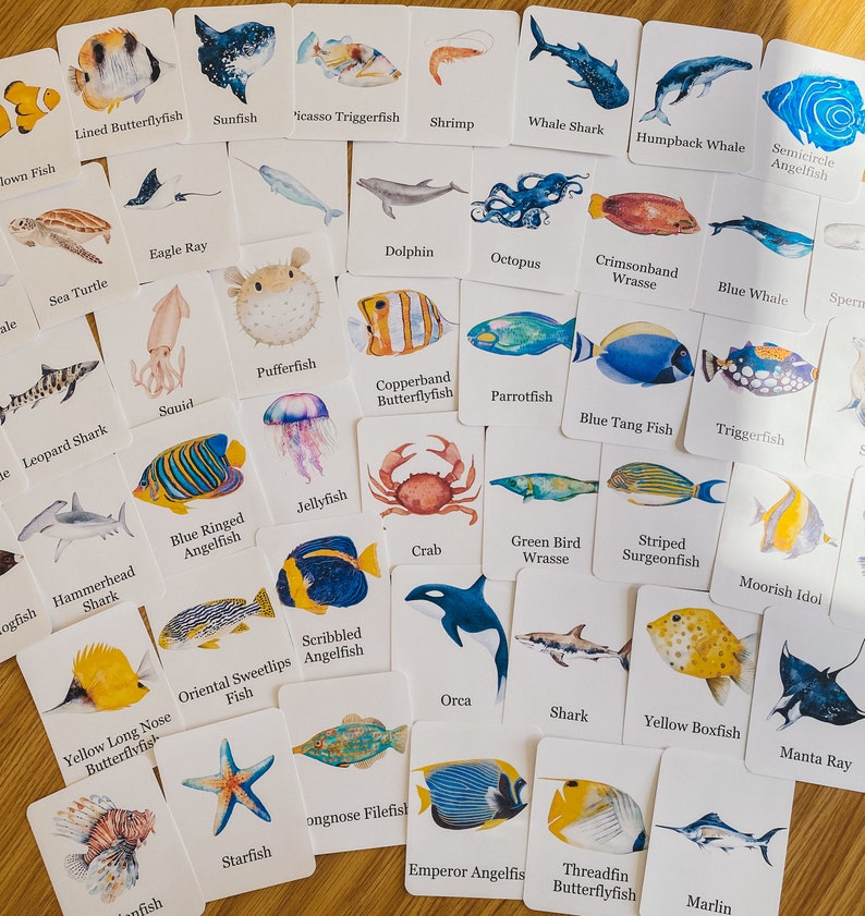 Ocean Animal Flashcards, Morning Basket, Homeschool, Learning Resource ...