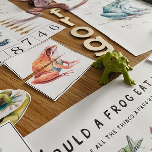 Frog Unit Study, 62 Page PDF, Amphibians, Homeschool, Learning Resource ...