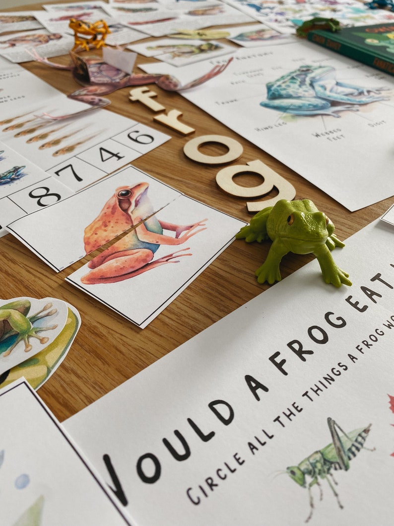 Frog Unit Study, 62 Page PDF, Amphibians, Homeschool, Learning Resource ...