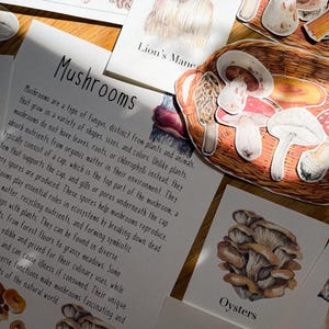 Mushroom & Fungi Unit Study, 110 Page PDF, Morning Basket, Homeschool ...