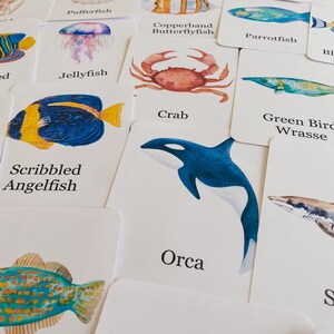 Ocean Animal Flashcards, Morning Basket, Homeschool, Learning Resource ...
