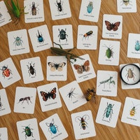 Insect - Etsy