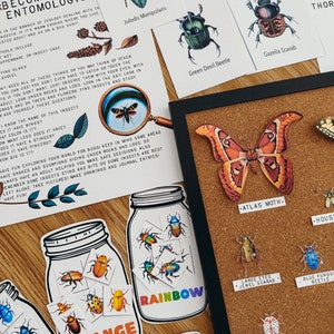 Bugs and Insects Unit Study, Homeschool, Learning Resource, Printable ...