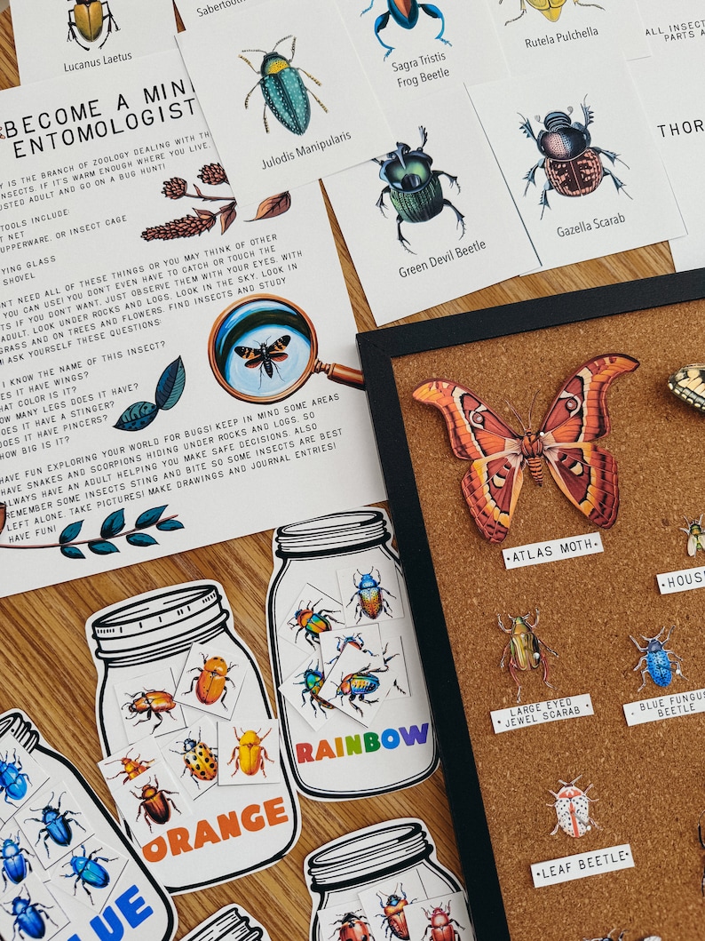Bugs and Insects Unit Study, Homeschool, Learning Resource, Printable ...