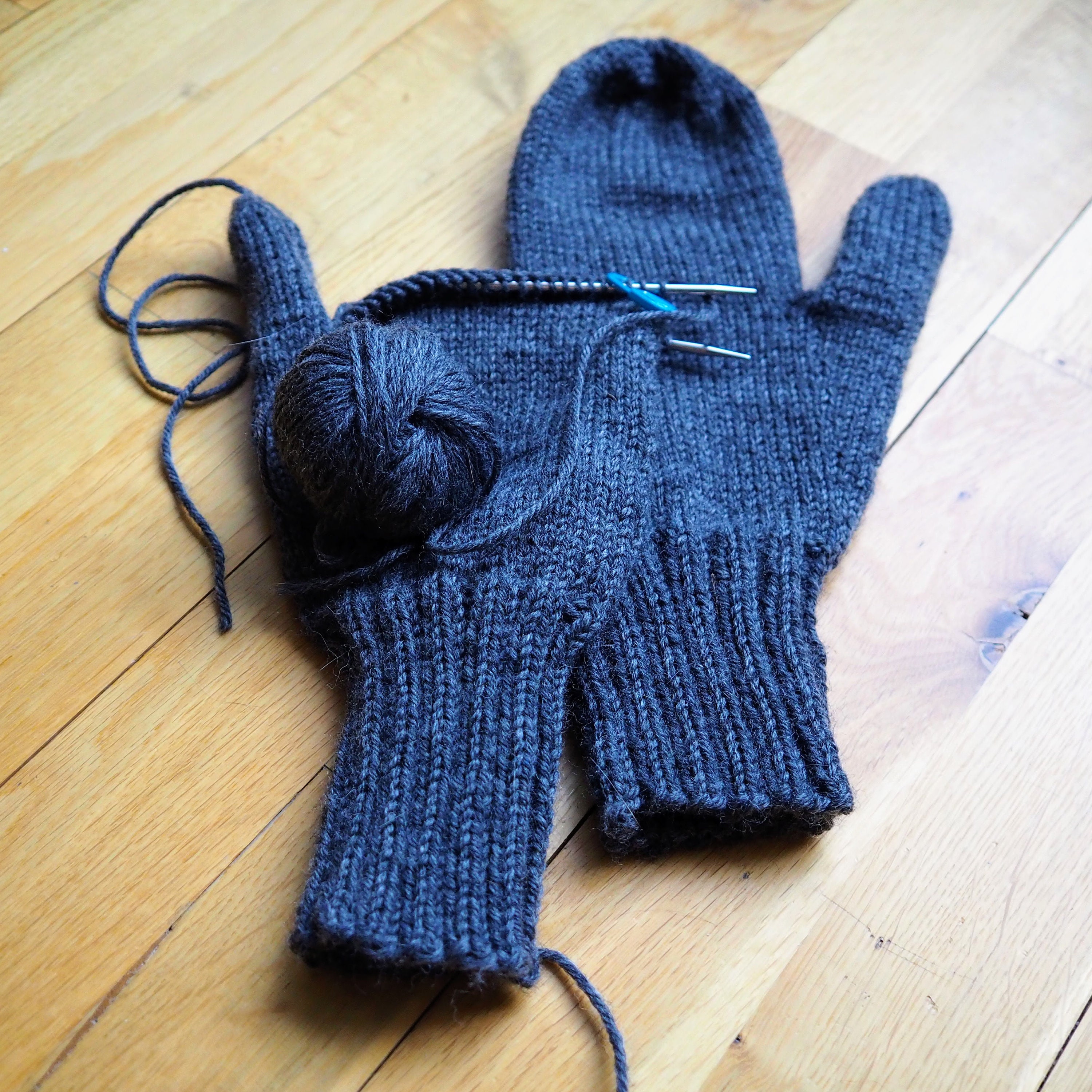 PDF PATTERN Blank Space Mittens Knitting Pattern Adult Medium and Large ...