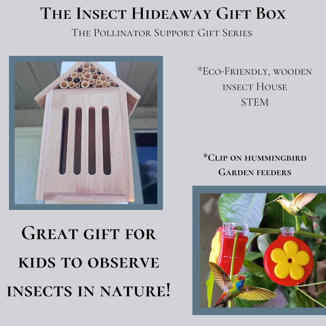Childrens Insect Observation Home, STEM Pollinator Gift Box Solitary ...