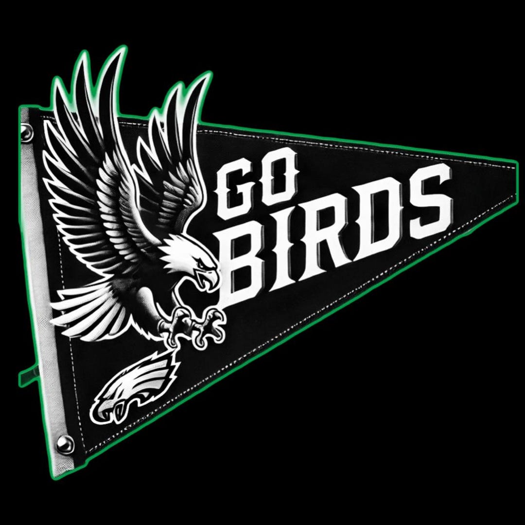 Go Birds DTF Transfer/png Image With and Without Color - Etsy
