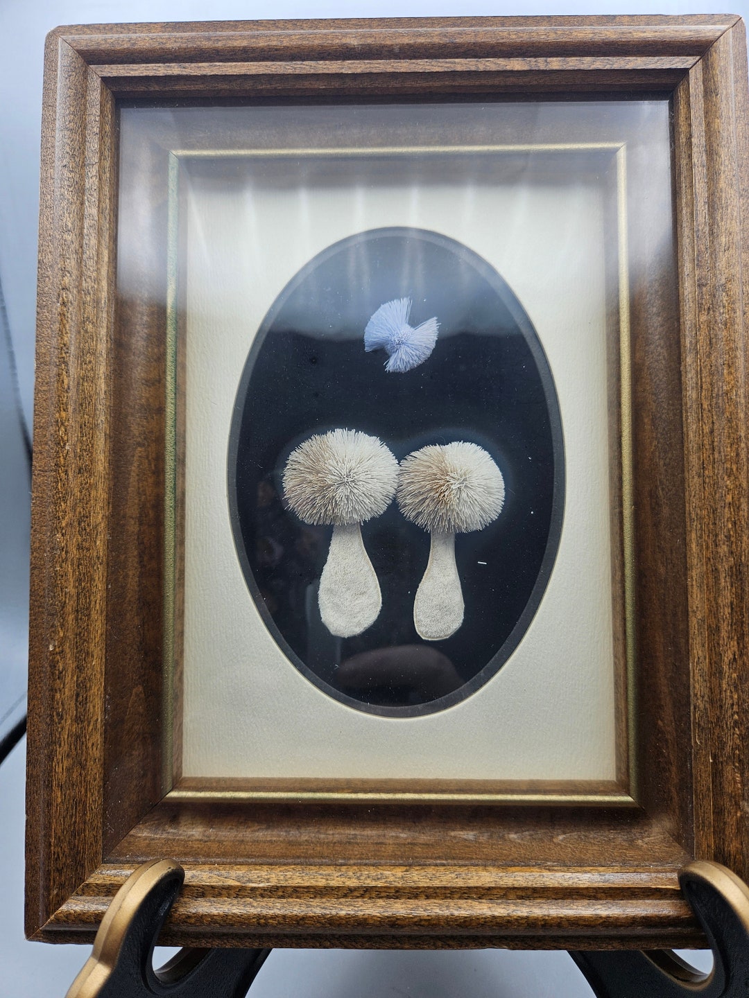 Vintage Canadian Native Caribou Tufting Picture Toadstools Mushrooms ...