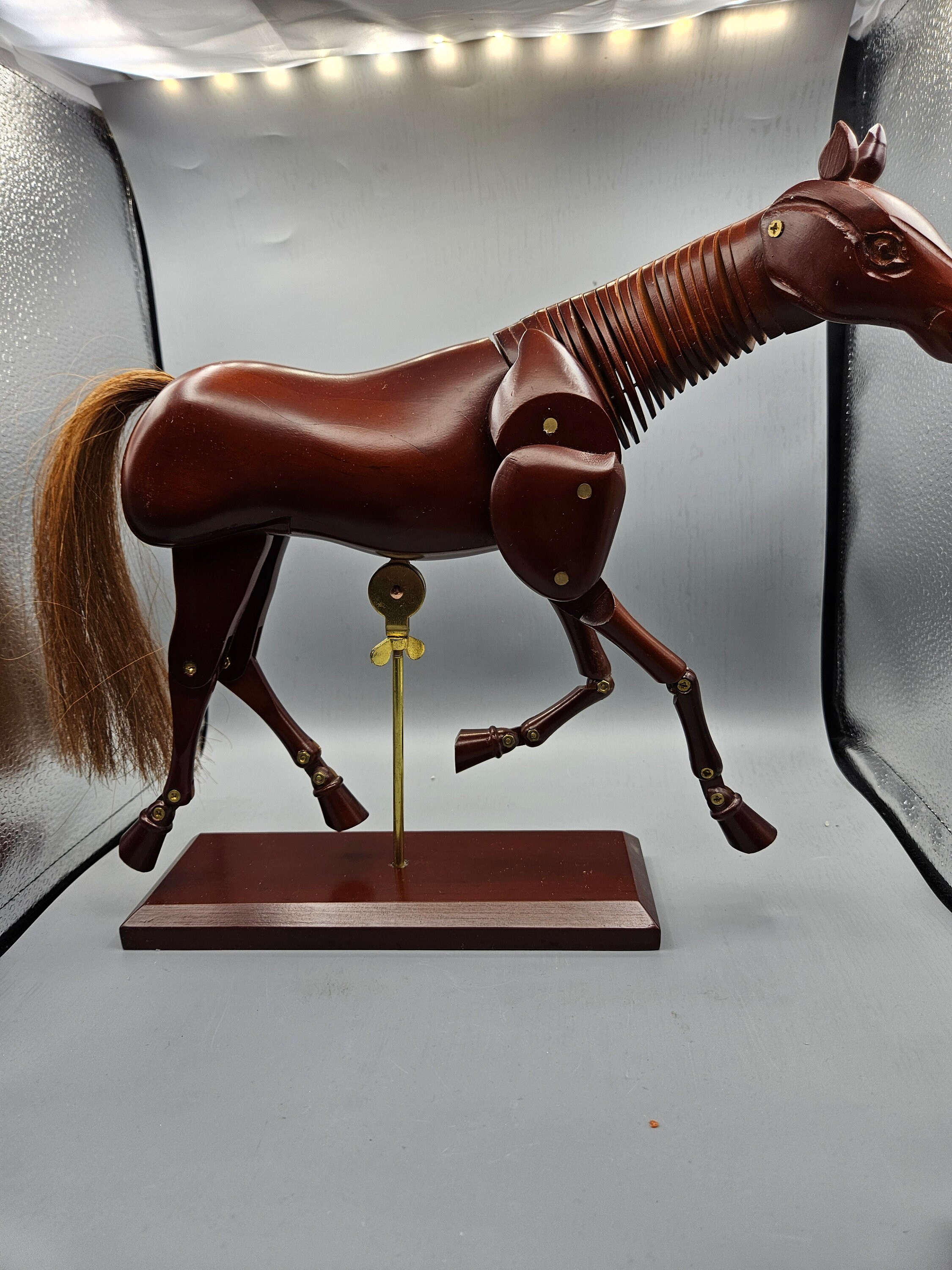 Anatomical Drawing Model of A Horse - Etsy