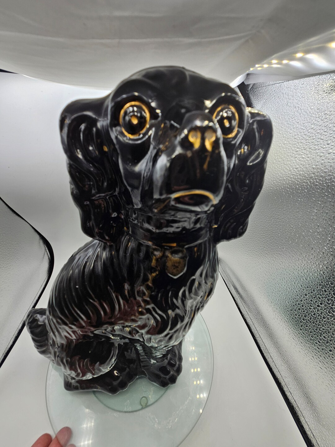 Antique Black Staffordshire Jackfield Spaniel Dog Curled Tail 10 19th ...