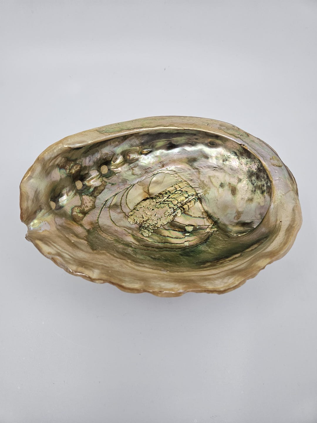 Vintage Orange Abalone Shell DISH Mother of Pearl Lucite Feet, MCM Bowl ...