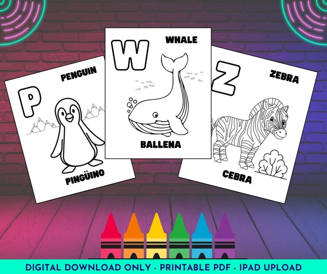 English and Spanish Coloring Pages: Kindergarten Kids Learning - Etsy