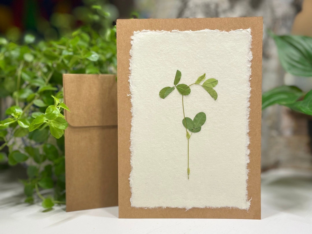 REAL Dried Shamrock Card W/envelope Blank 5 X 7 Original Art Frameable ...
