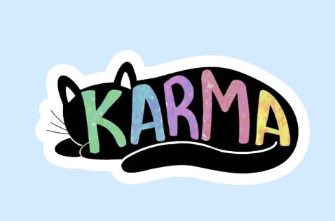 Karma is a Cat Sticker Taylor Sticker Swift Sticker Swiftie - Etsy