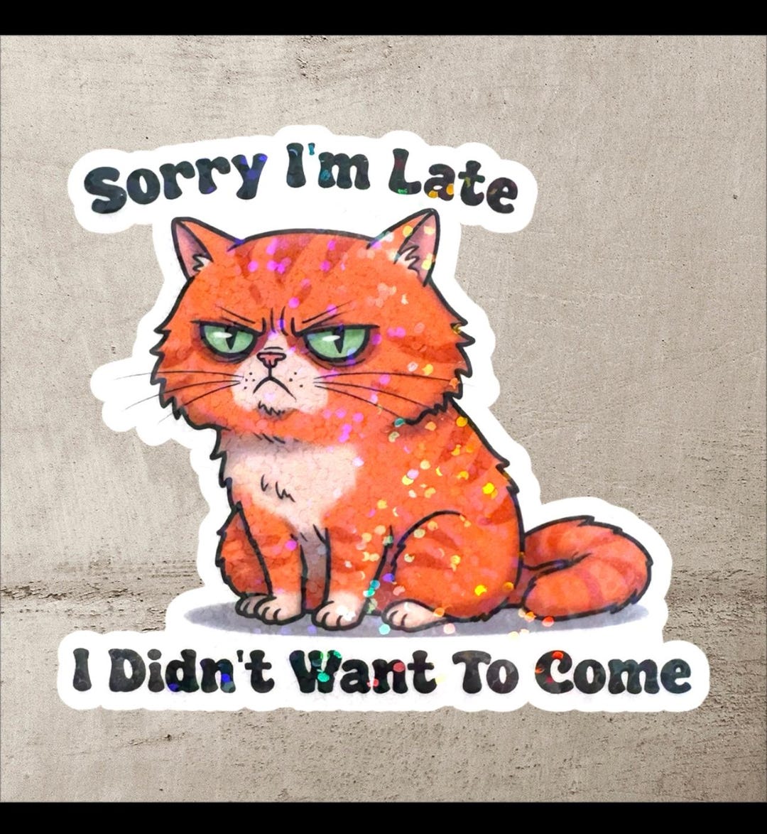 Grumpy Kitty Cat Sticker, Sorry I’m Late I Didn’t Want to Come, Funny ...