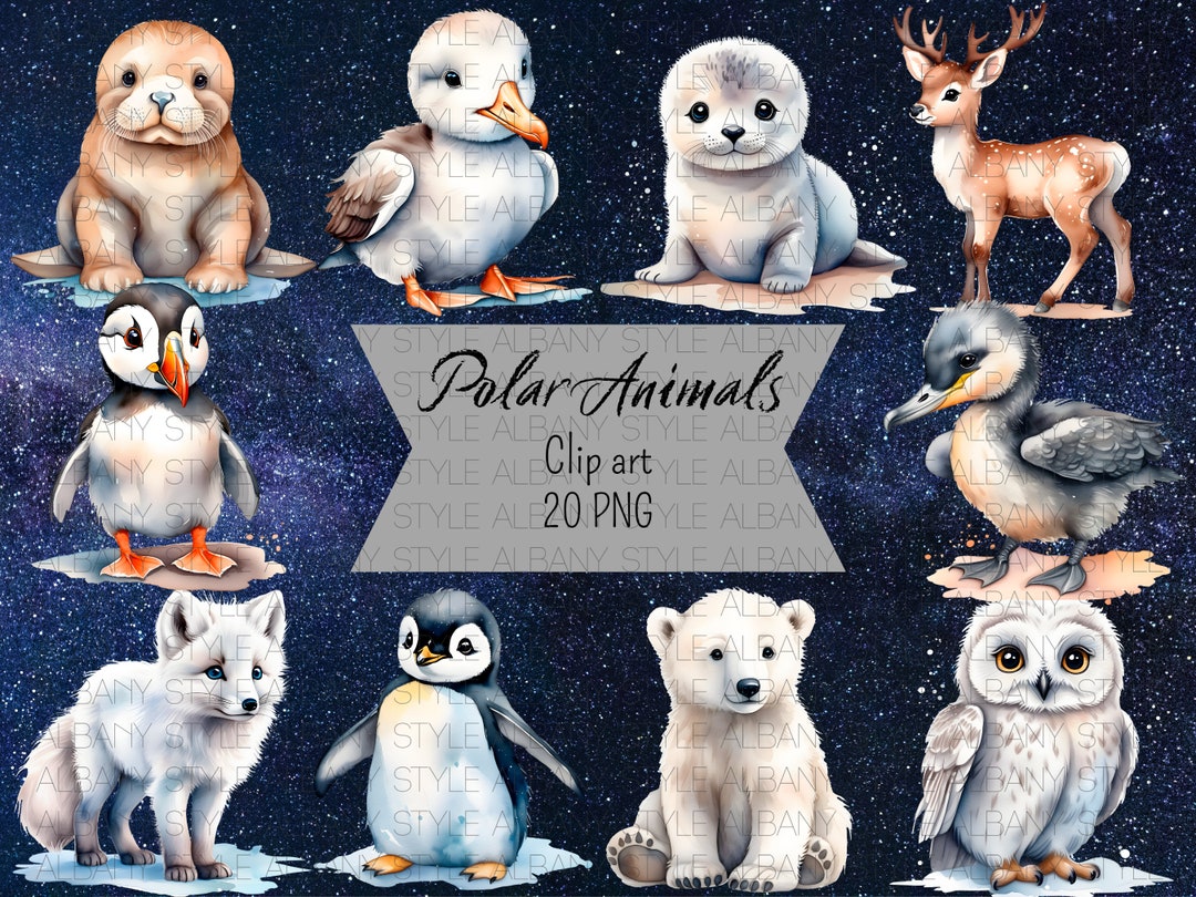 Polar Animals Clipart, Watercolor, 3000x3000 Transparent PNG ...