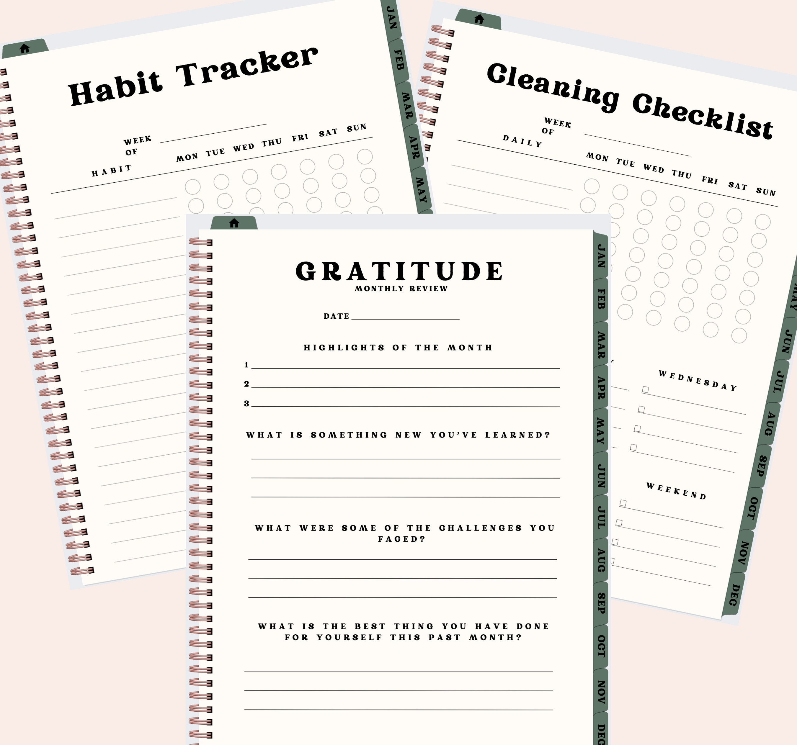 Digital Planner, Editable, Instant Download, Hyperlinked, Undated ...